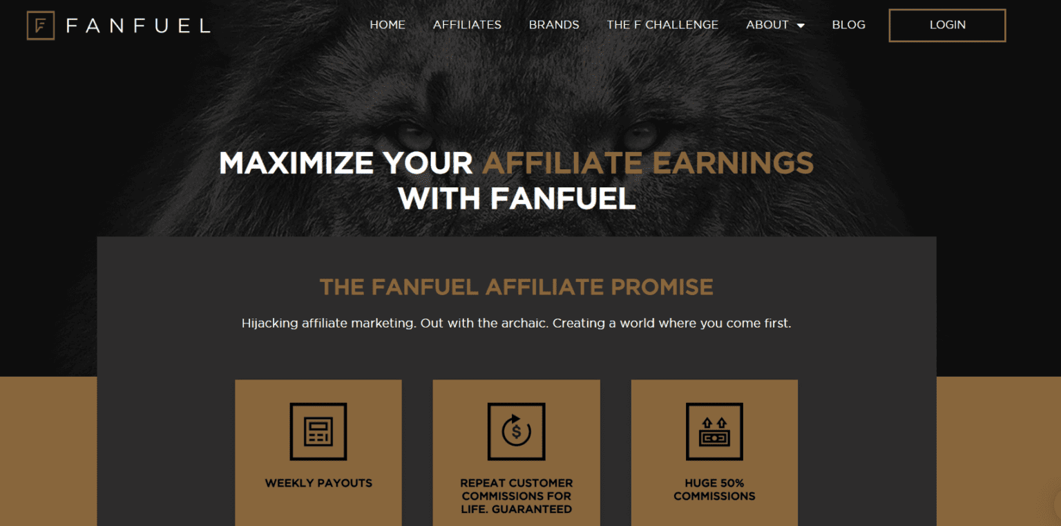 30 Best Fitness & Workout Affiliate Programs (2025)